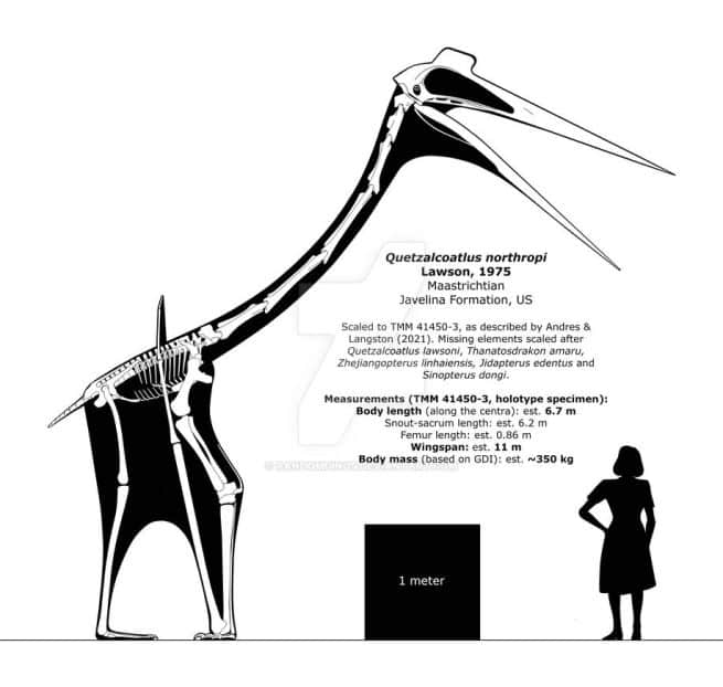 Quetzalcoatlus - DinoPit